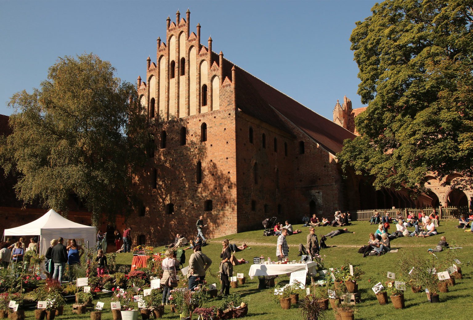 Kräuter- und Keramiktage 2016 im Kloster Chorin | Art Aurea